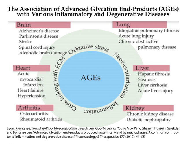 Sugar and Aging: The role of Advanced Glycation End-Products in Aging ...